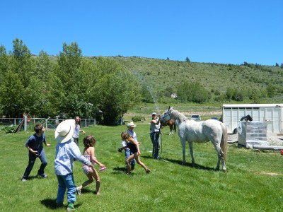 Riding Camps | Linn Canyon Ranch